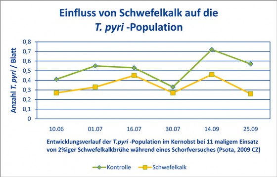 Biofa - Typhlodromus pyri - Raubmilbe