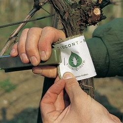 Biofa - Typhlodromus pyri - Raubmilbe