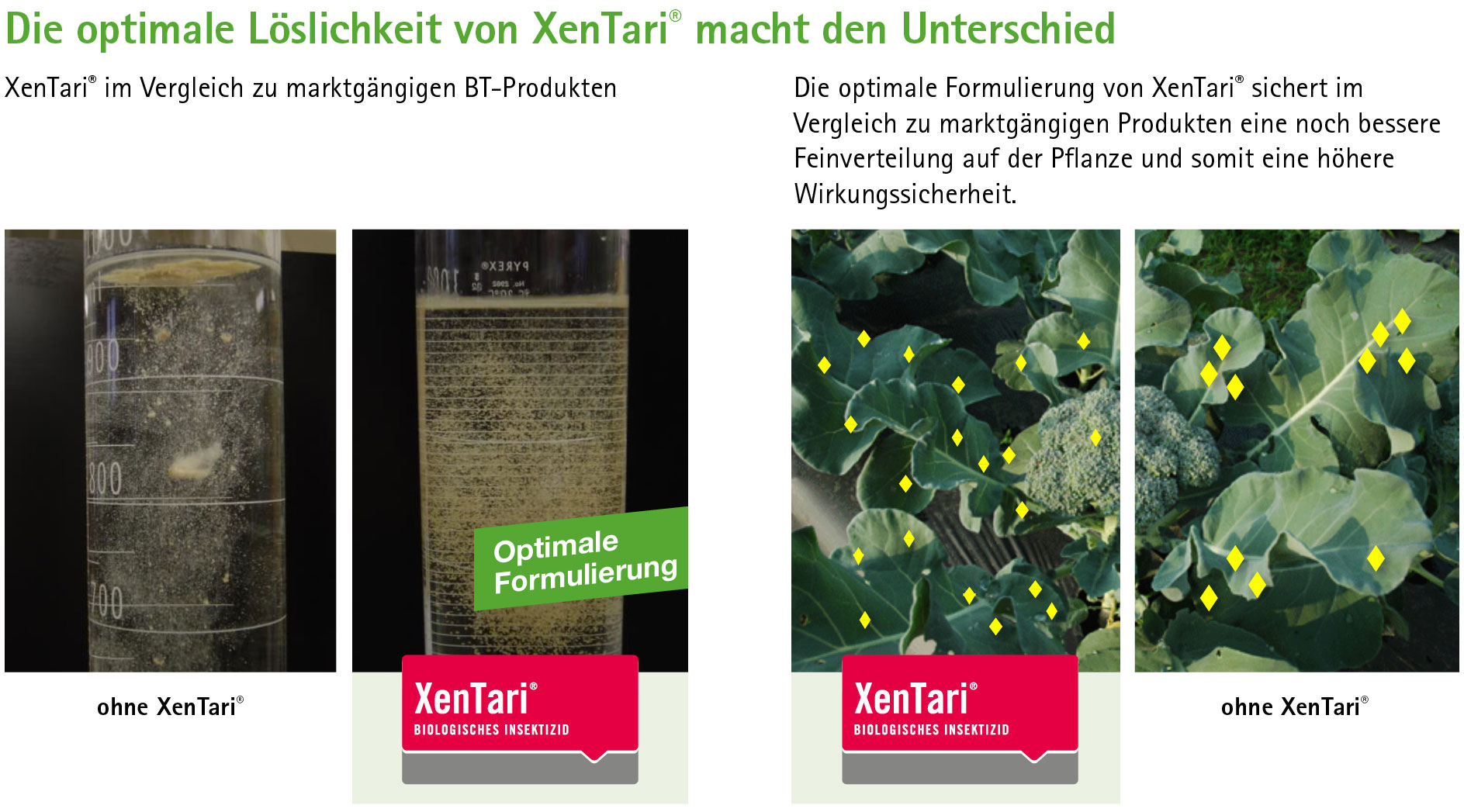 Biofa - XenTari® - Kohlweißling und andere Freifressende Schmetterlings ...